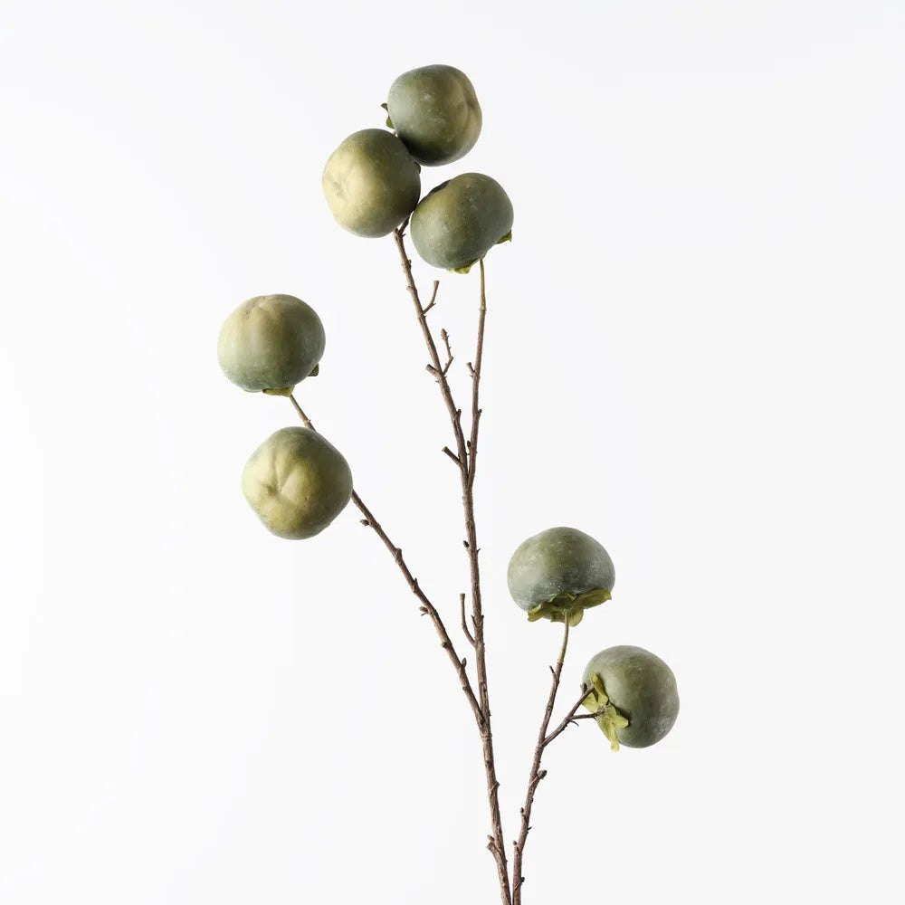 Persimmon Spray – Corso Merivale